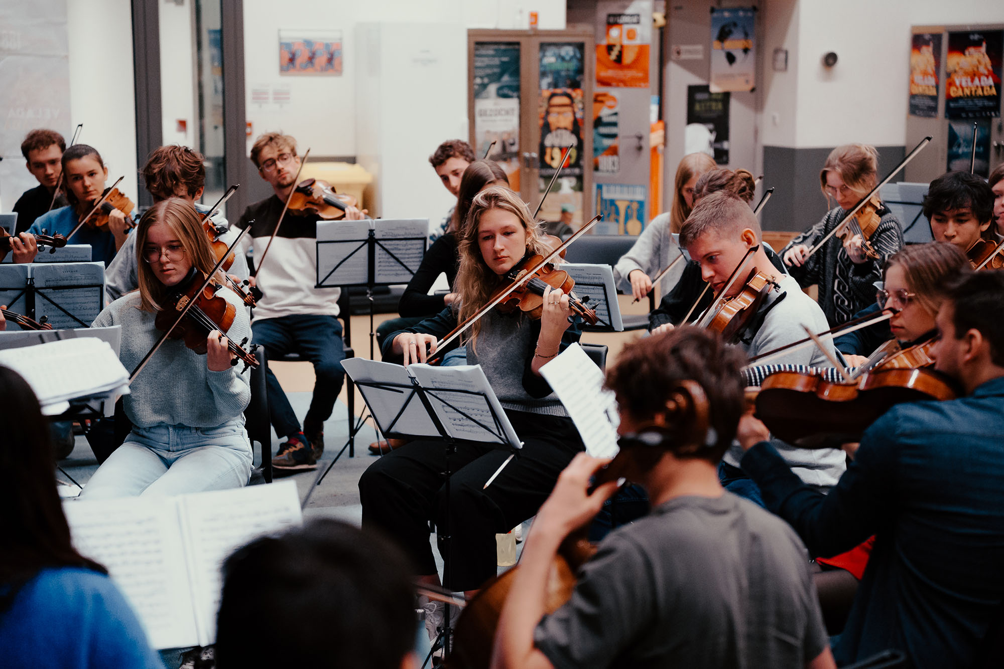 Musical student association: "Every academic year we work very hard ...